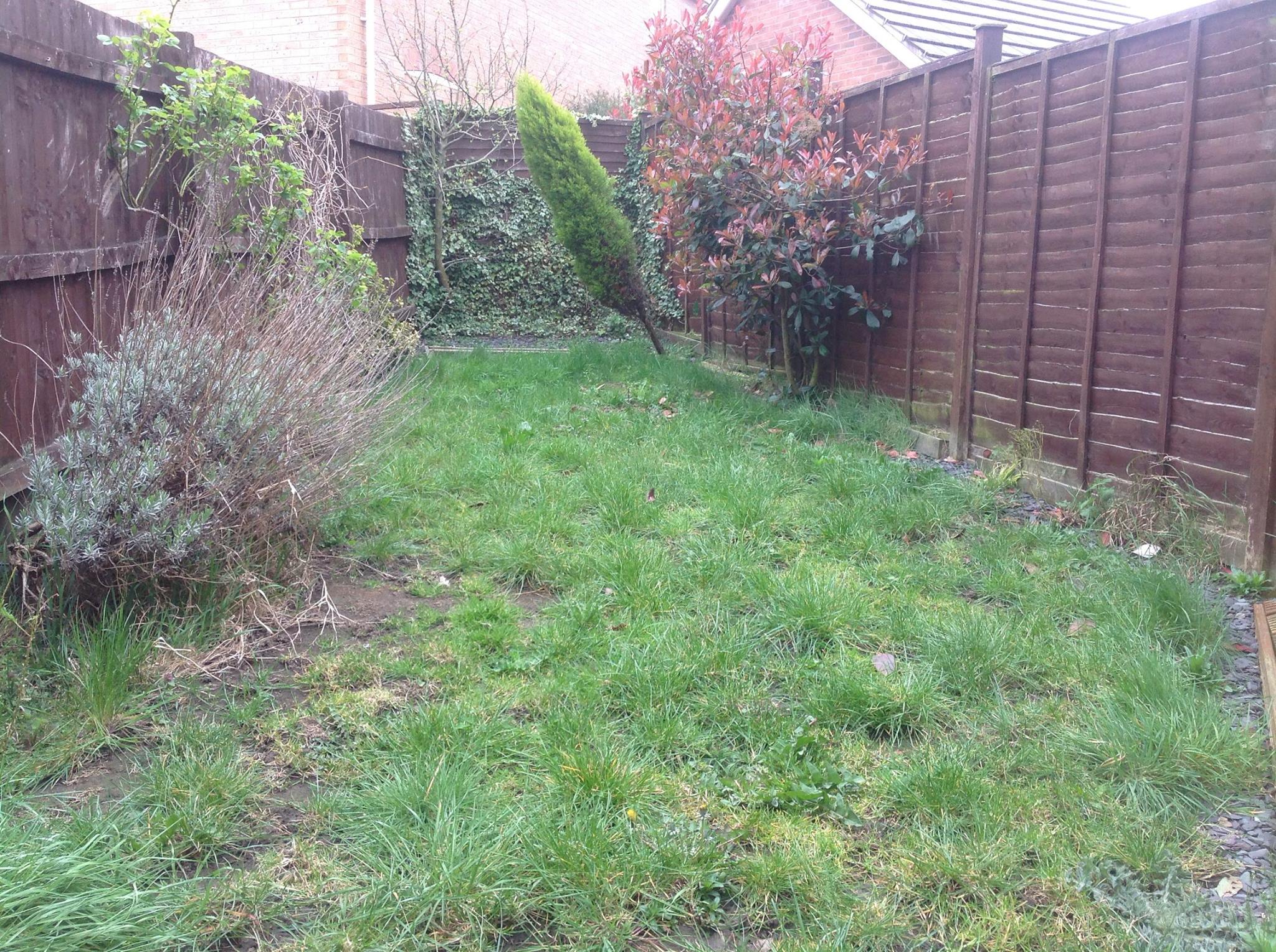 Portfolio - Back Gardens - Green Room Landscapes